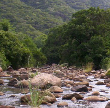 Puliyancholai, Trichy - Find things to do, photos, ratings and reviews ...